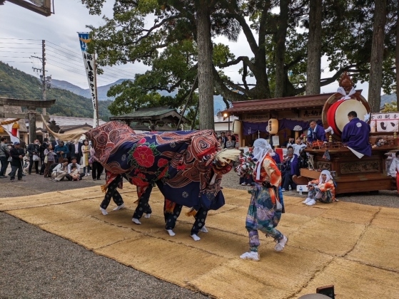 Doburoku festival🍶16OCT&17OCT | Tours&Activities | Shirakawa-go Tourist ...